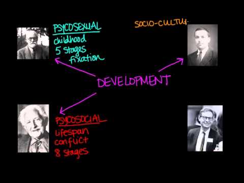 Overview of Theories of Development