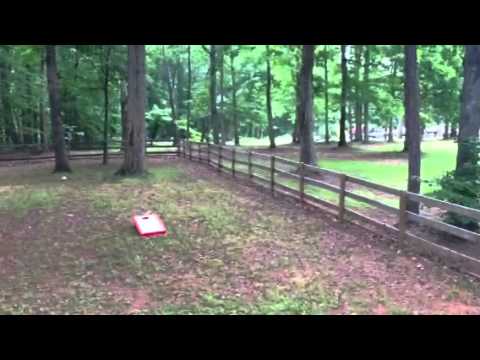 Cicadas sounding off in Tobaccoville, NC