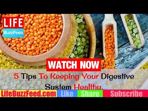 5 SIMPLE Tips To Keeping Your Digestive System Healthy | How to CLEAN ...