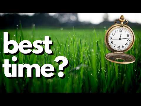 Plan Your Way to a Beautiful Lawn - The ULTIMATE Lawn Care Calendar