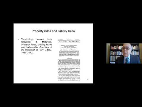 Prof. Thomas Cotter on the Economics of Injunctions in Patent Law
