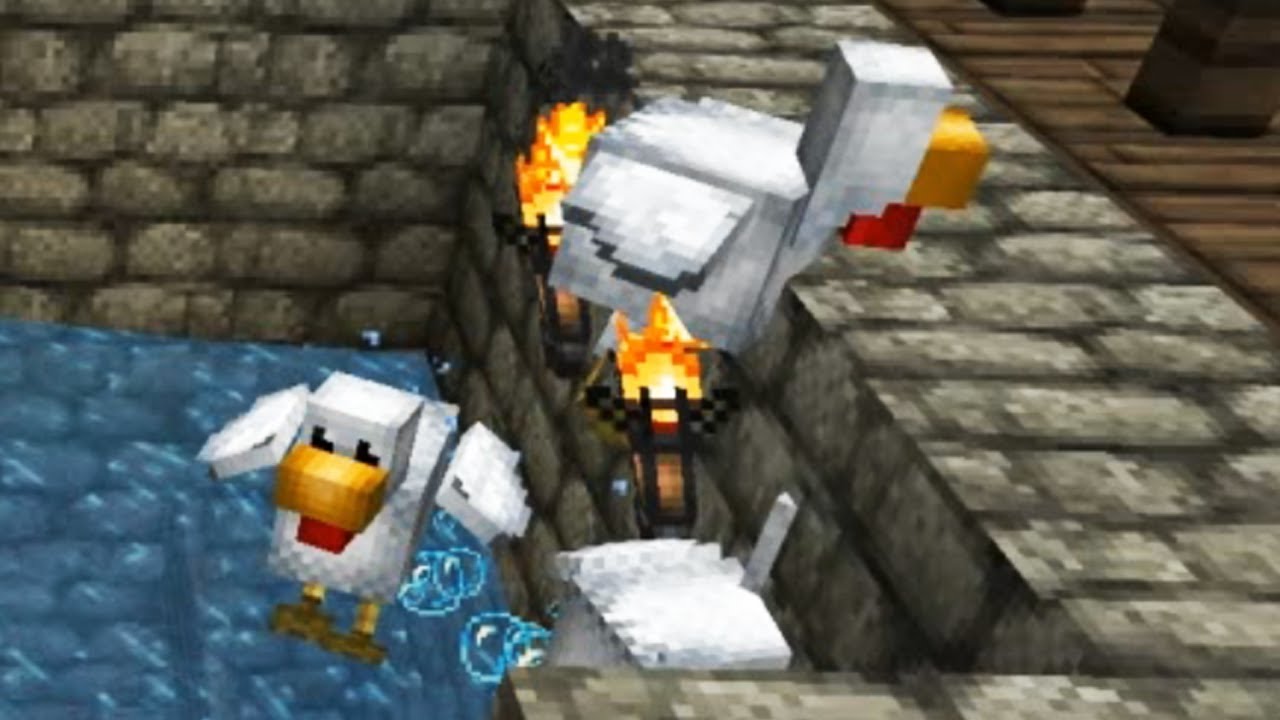 Chicken Cooker & Egg Farm - Minecraft LP #20