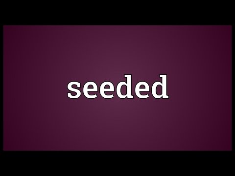 Seeded Meaning