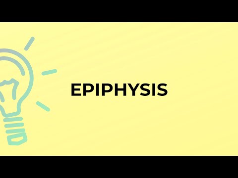 What is the meaning of the word EPIPHYSIS?