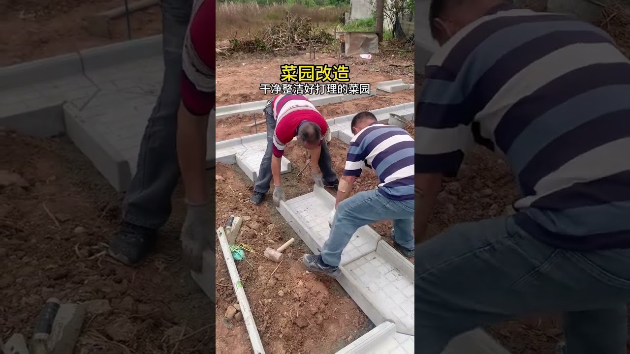 #renovatinggame  a small courtyard #Recording my rural life #Planting agriculture, rural areas#25e25