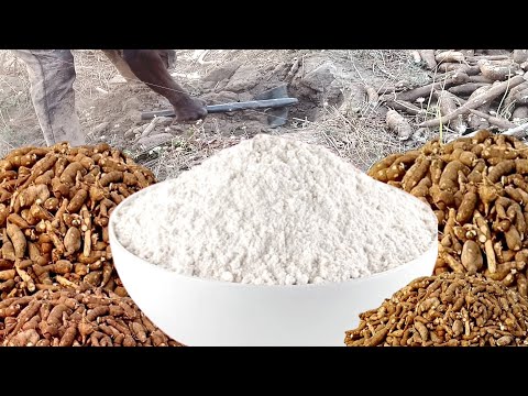 How to Make cassava flour( The traditional method)