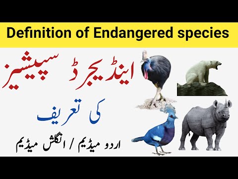 Endangered Species| Definition Of Endangered Species | What Are endangered Species
