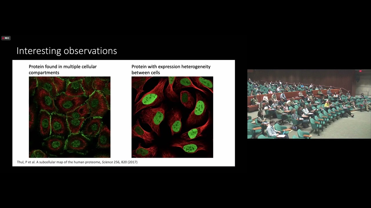 Decoding human cell architectures - from spatial proteomics to whole cell modelling