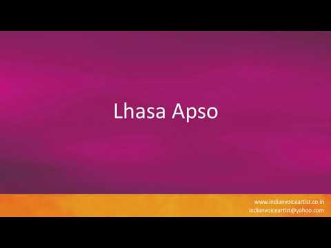 How to pronounce the dog breed "Lhasa Apso".