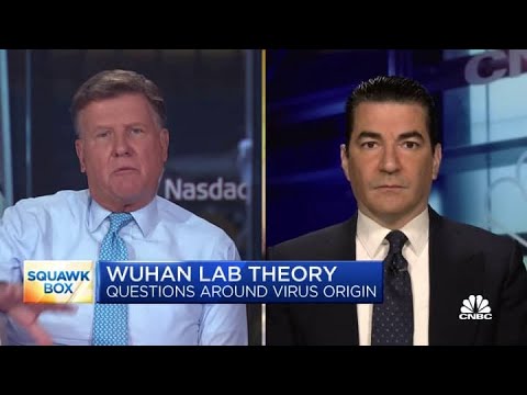 Dr. Scott Gottlieb on Dr. Anthony Fauci's knowledge of Covid origins