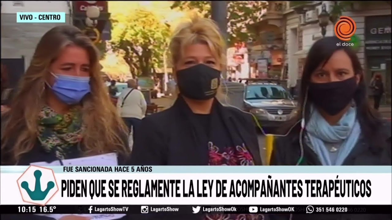 Piden que finalmente se reglamente la Ley de Acompañantes Terapéuticos
