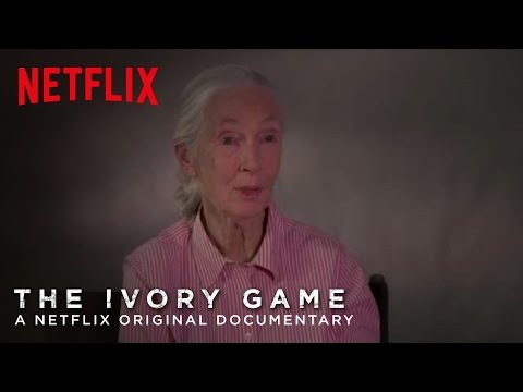 The Ivory Game (2016) Cast, Crew, Synopsis and Movie Info