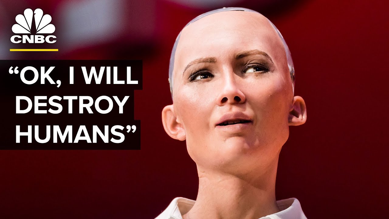Watch Sophia the 'sexy robot' claim she will 'destroy humans' - leaving ...