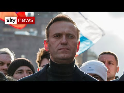 Tests indicate Putin critic Navalny was poisoned, German doctors say