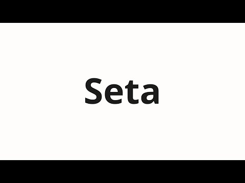 How to pronounce Seta