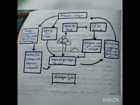 nitrogen cycle easy kid drawing #ncs