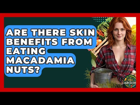 Are There Skin Benefits From Eating Macadamia Nuts? - The World of Agriculture