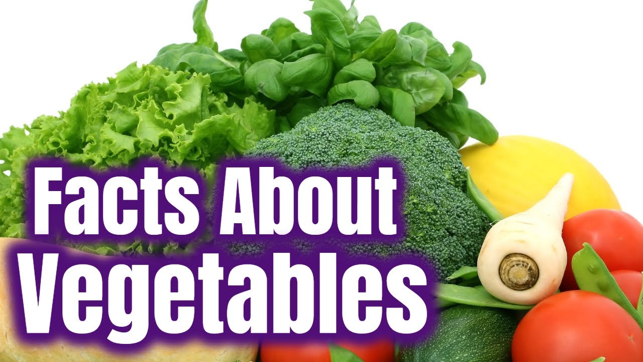 Facts About Vegetables for Children | Lesson Video