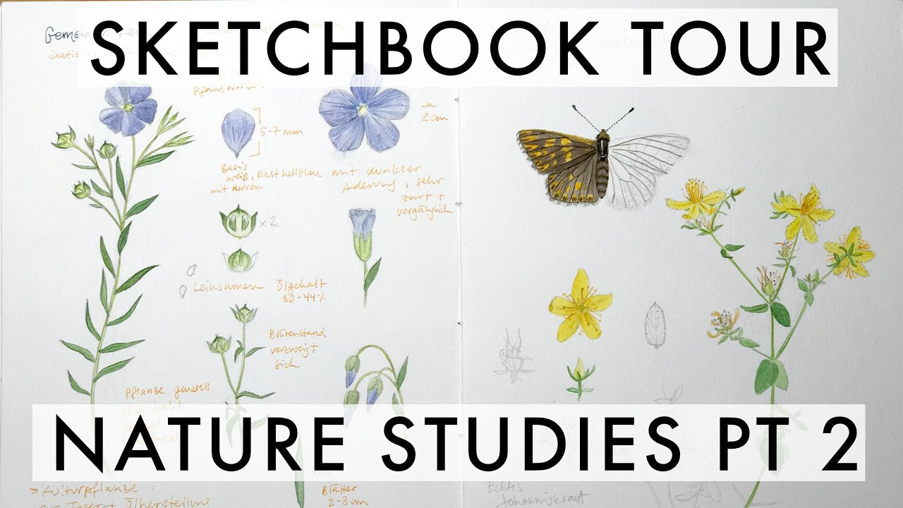 Sketchbook Tour Fall '21: Detailed nature studies (plants, birds, bats) | part 2