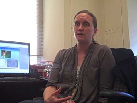 Jen Pluznick | The Role of Smell Receptors in the Kidney