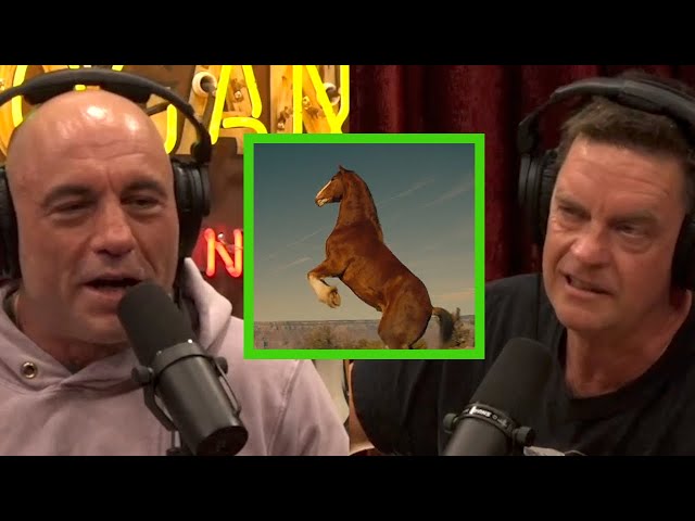 "Pick a lane, dude": Joe Rogan thrashed online for criticizing Dylan Mulvaney's Bud Light ad