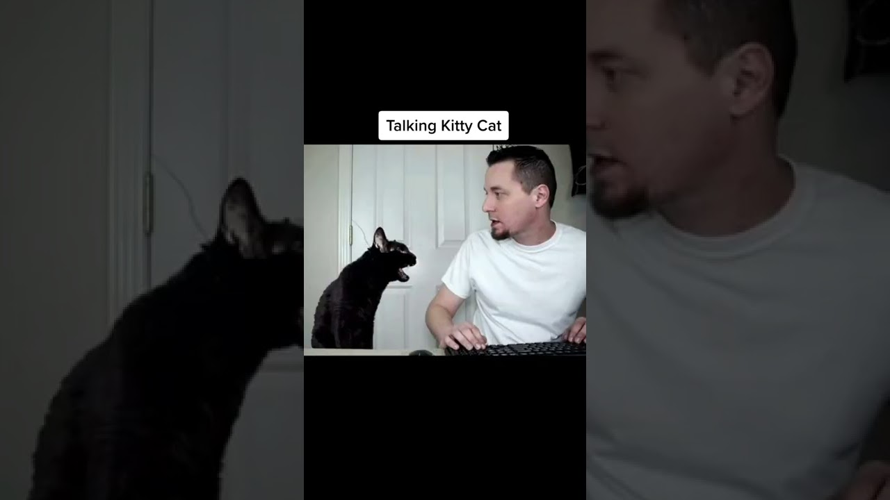 YouTubers That Have Passed Away #Shorts