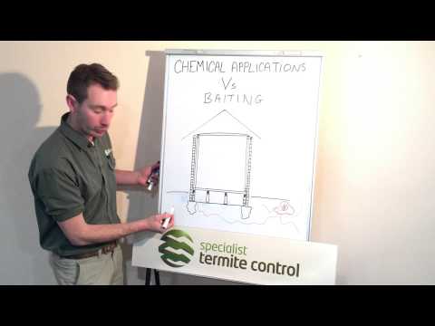 Termite Treatrments - Baiting Vs Chem