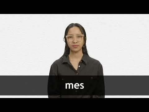 English Translation of “MES” | Collins Spanish-English Dictionary