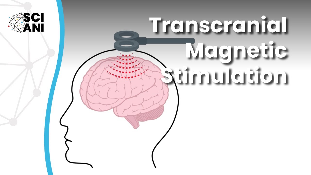 Programmed DNA elimination in copepods: a novel genome editing tool ...