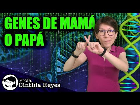 Genes de papá y mamá: ¿quién te hereda qué?