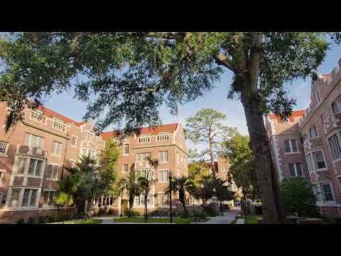 University of Florida - Five Things I Wish I Knew Before Attending
