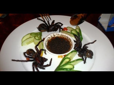 6 Most Revolting Foods on Earth!