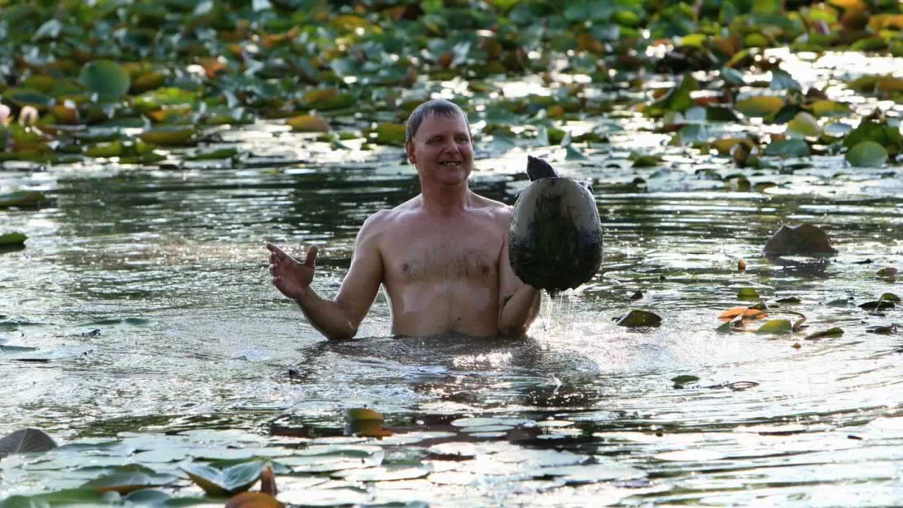 Turtle Man 