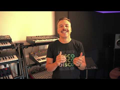 Solton Arranger Plus 1987 | Reverb