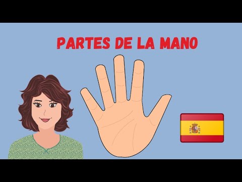 Parts of the hand  in Spanish | La mano | Learn Spanish