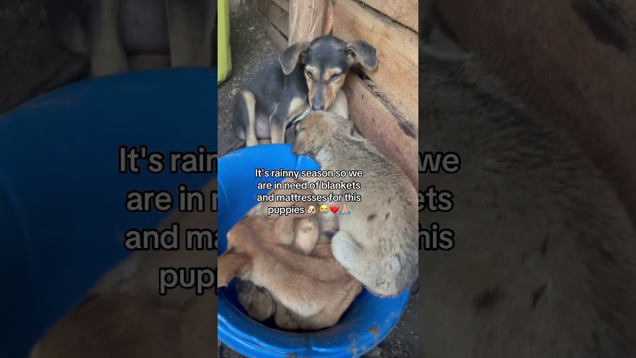 Link in my bio for help🙏🏼