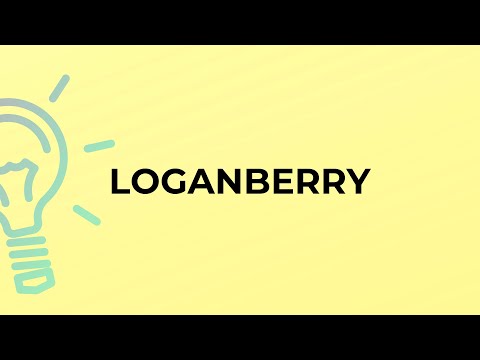 What is the meaning of the word LOGANBERRY?