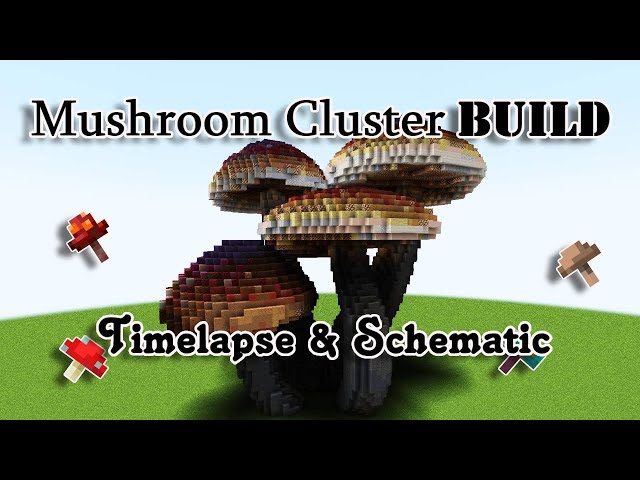 Mushroom cluster Minecraft Map