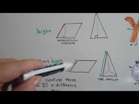 Height vs Slant-height