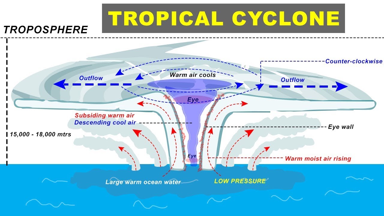 Understanding Tropical Cyclones: Formation, Movement, and Impact ...