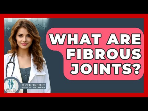 What Are Fibrous Joints? - Orthopedic Support Network