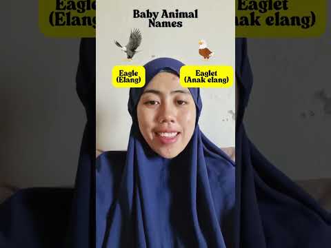 Don't skip this baby names #vocabulary #english #vocabularybuilding