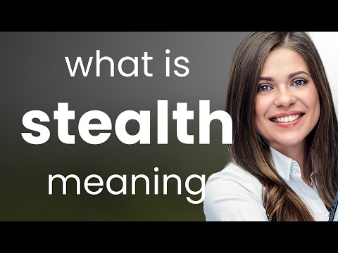 Stealth • what is STEALTH definition