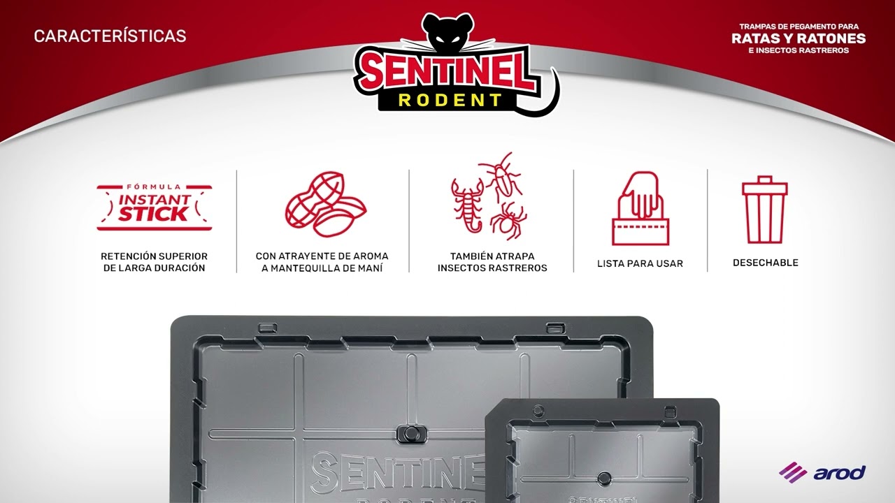 Trampa de pegamento para ratas y ratones | Sentinel Rodent