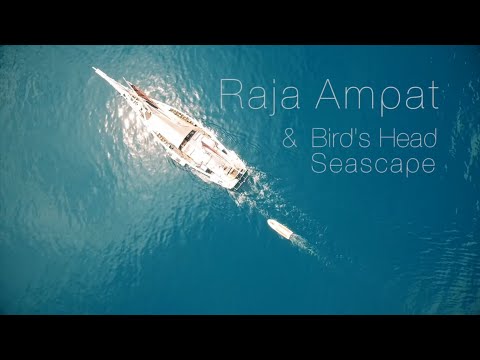 Cruising the Jewels of Raja Ampat: The Last Paradise