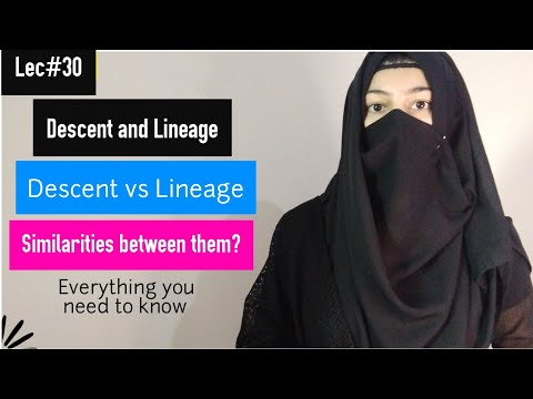 Lineage and descent in sociology and anthropology || Lineage vs Descent explained in Urdu Hindi