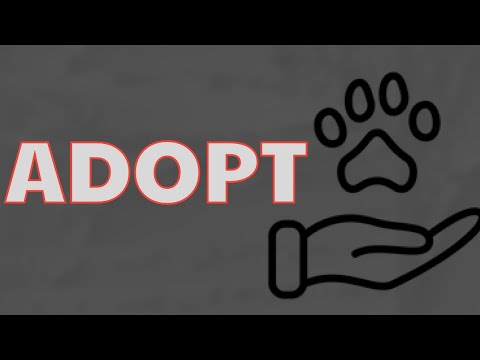 What Does ADOPT Means || Meanings And Definitions With Example in ENGLISH .
