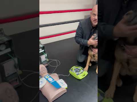 First Aid - Automated External Defibrillator (AED) made easy.