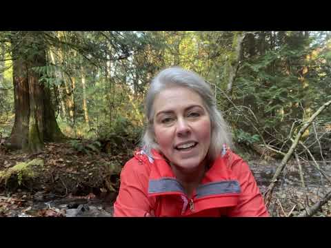 Water and The Climate Crisis – MACAL Program