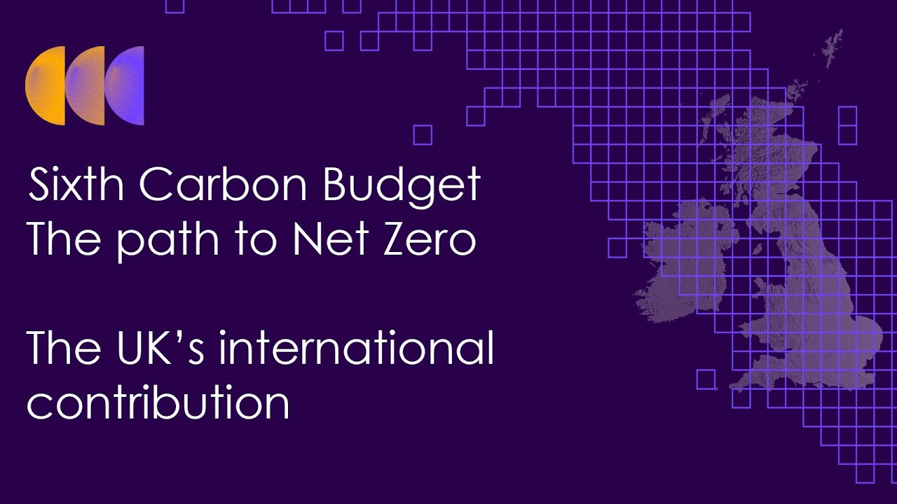 Event: The Path to Net Zero - The UK’s international contribution